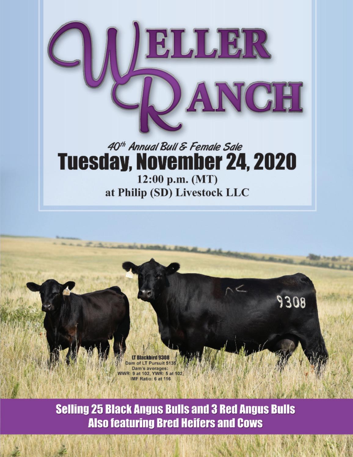 Weller Ranch 2020 Bull Catalog by RPI Promotions - Issuu