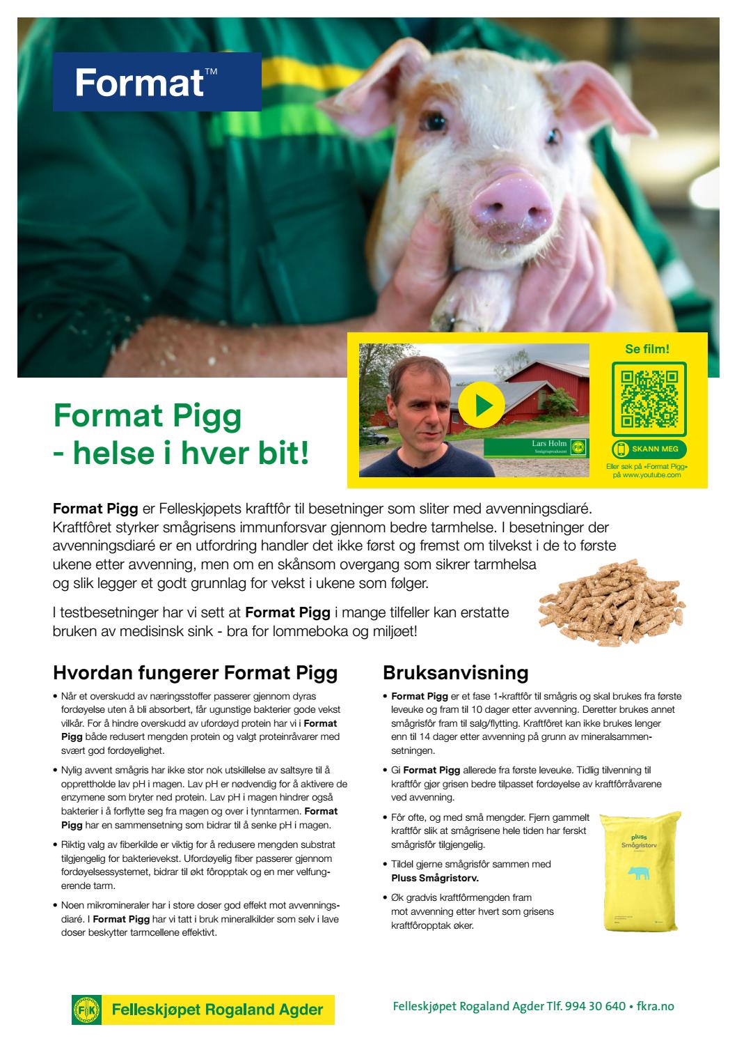 Format Pigg by Felleskjøpet Rogaland Agder - Issuu