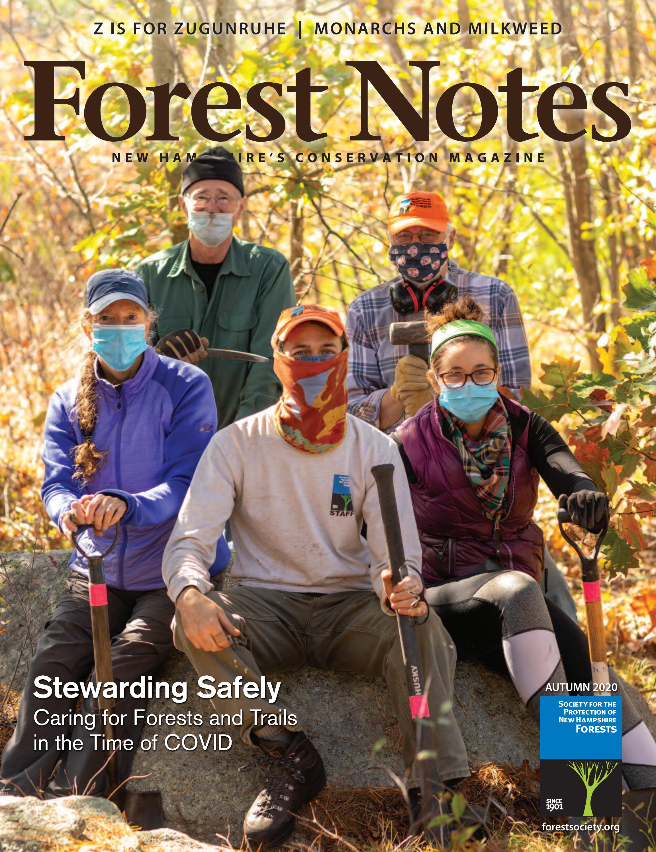 Forest Notes Fall 2020 by Forest Society - Issuu