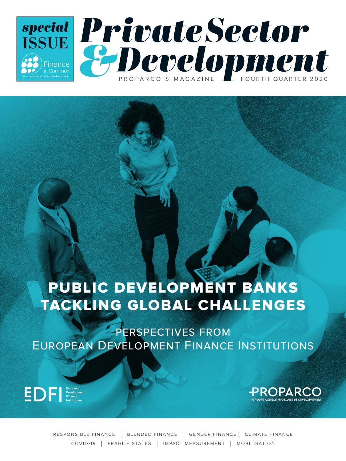 Private Sector and Development special issue : Public Development Banks ...