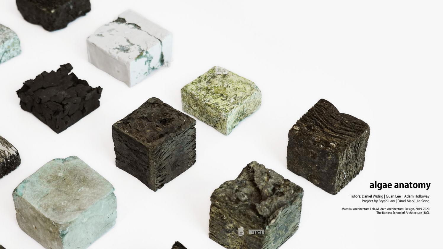 2020 Material Exploration - Algae Anatomy by Jie Song - Issuu