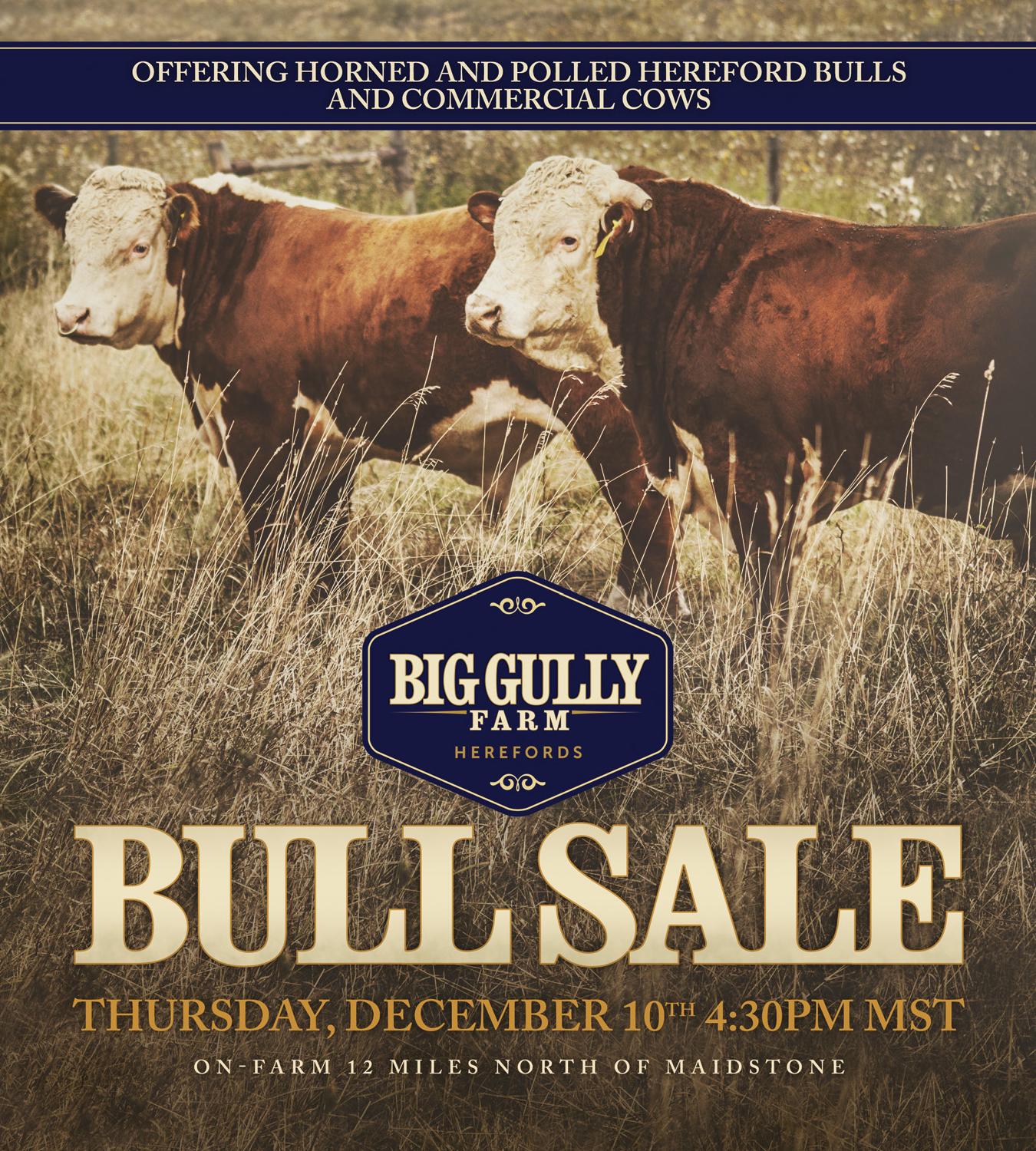 2020 Big Gully Farm Bull & Commercial Cow Sale Catalogue by Big Gully ...