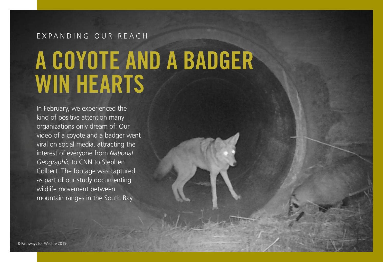 Peninsula Open Space Trust: 2019 – 2020 Impact Report by Peninsula Open ...