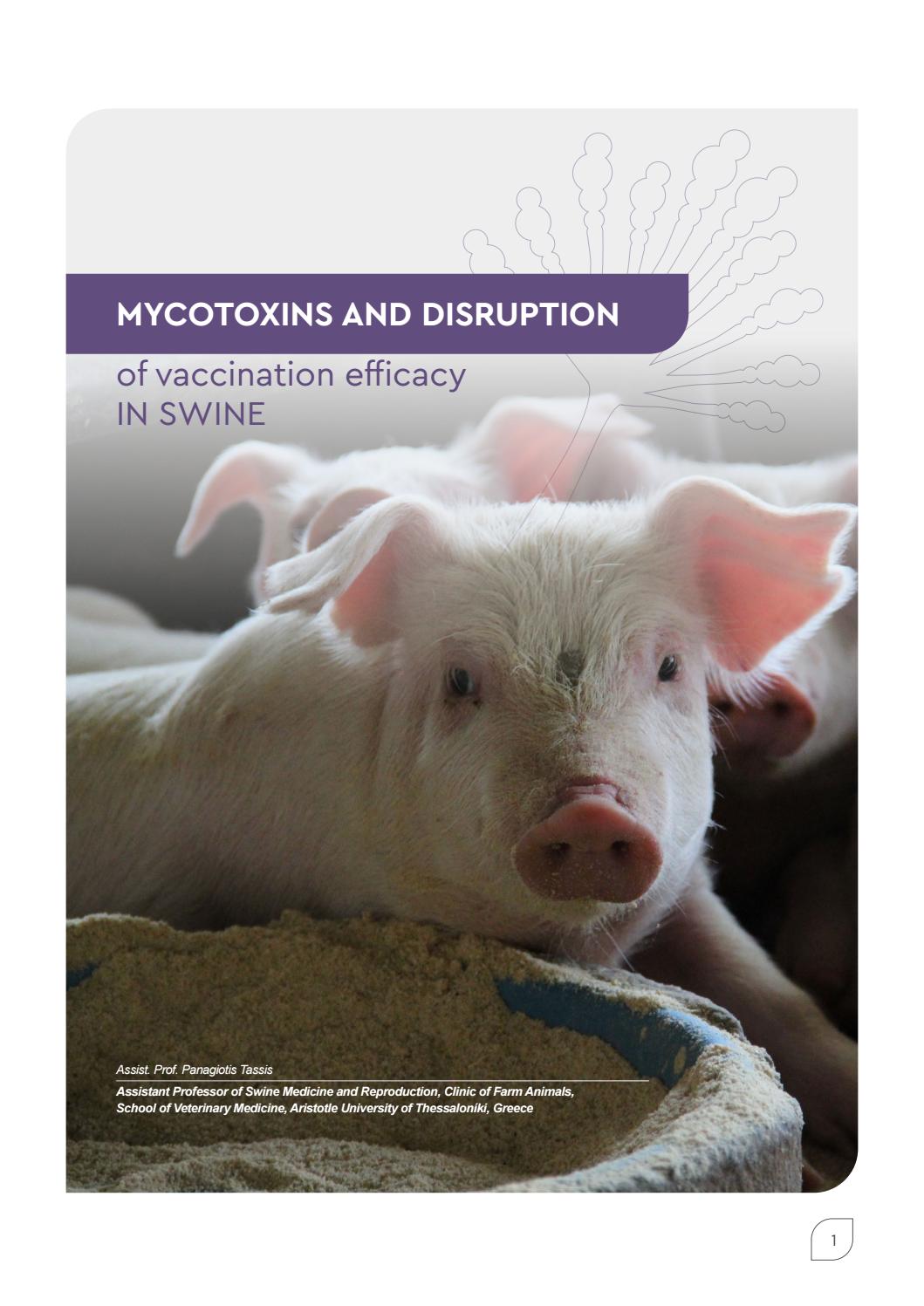 Mycotoxins and disruption of vaccination efficacy in swine by agriNews ...