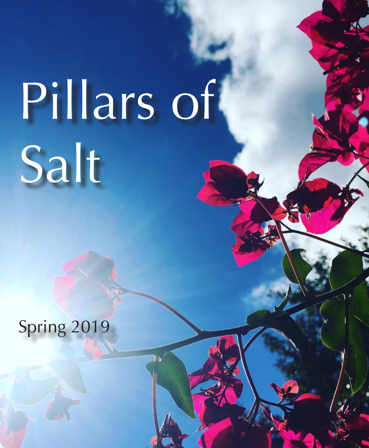 Pillars of Salt - Spring 2019 by The Archer School for Girls - Issuu