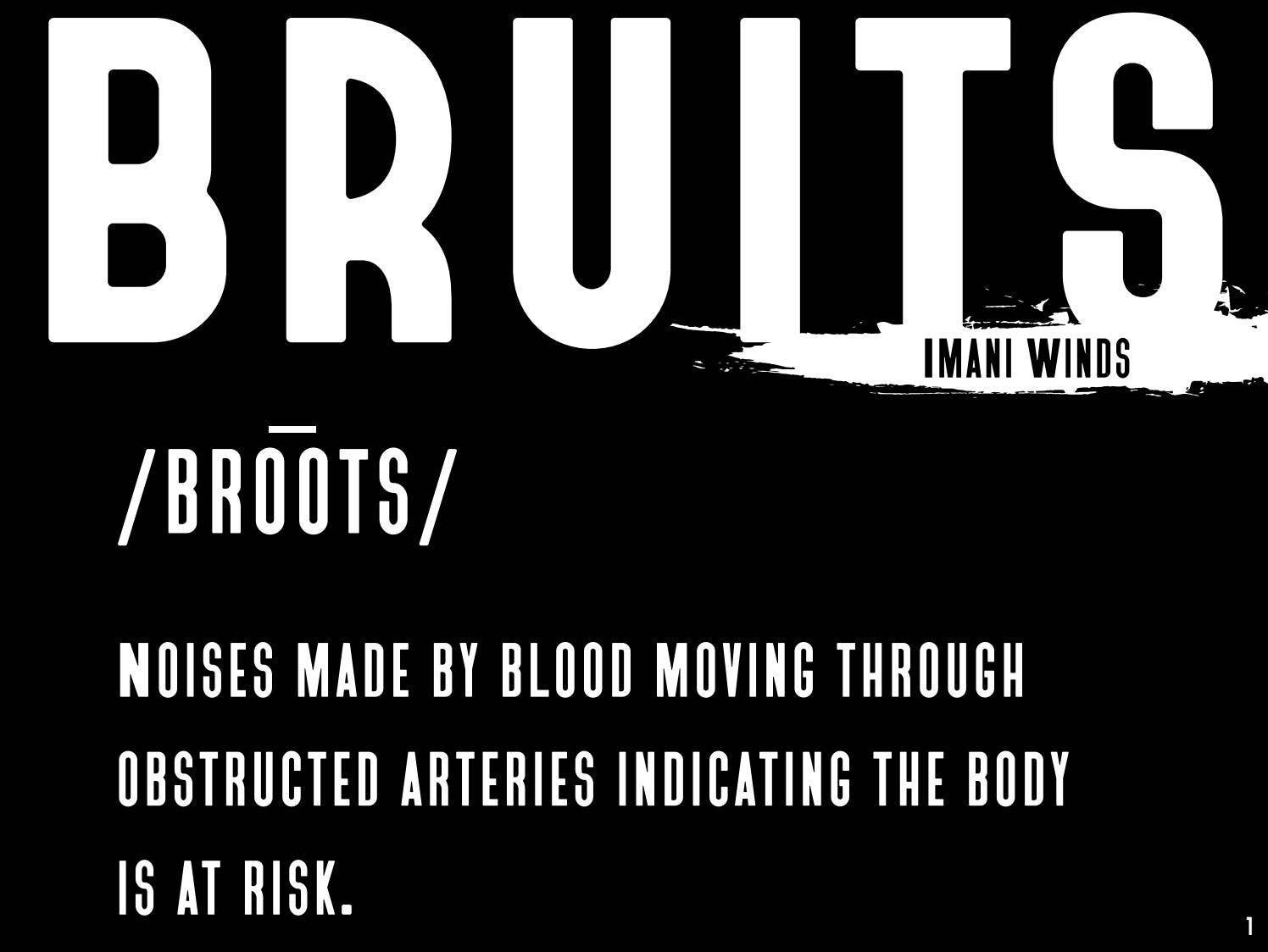 BRUITS - Album Booklet by Louis Levitt - Issuu
