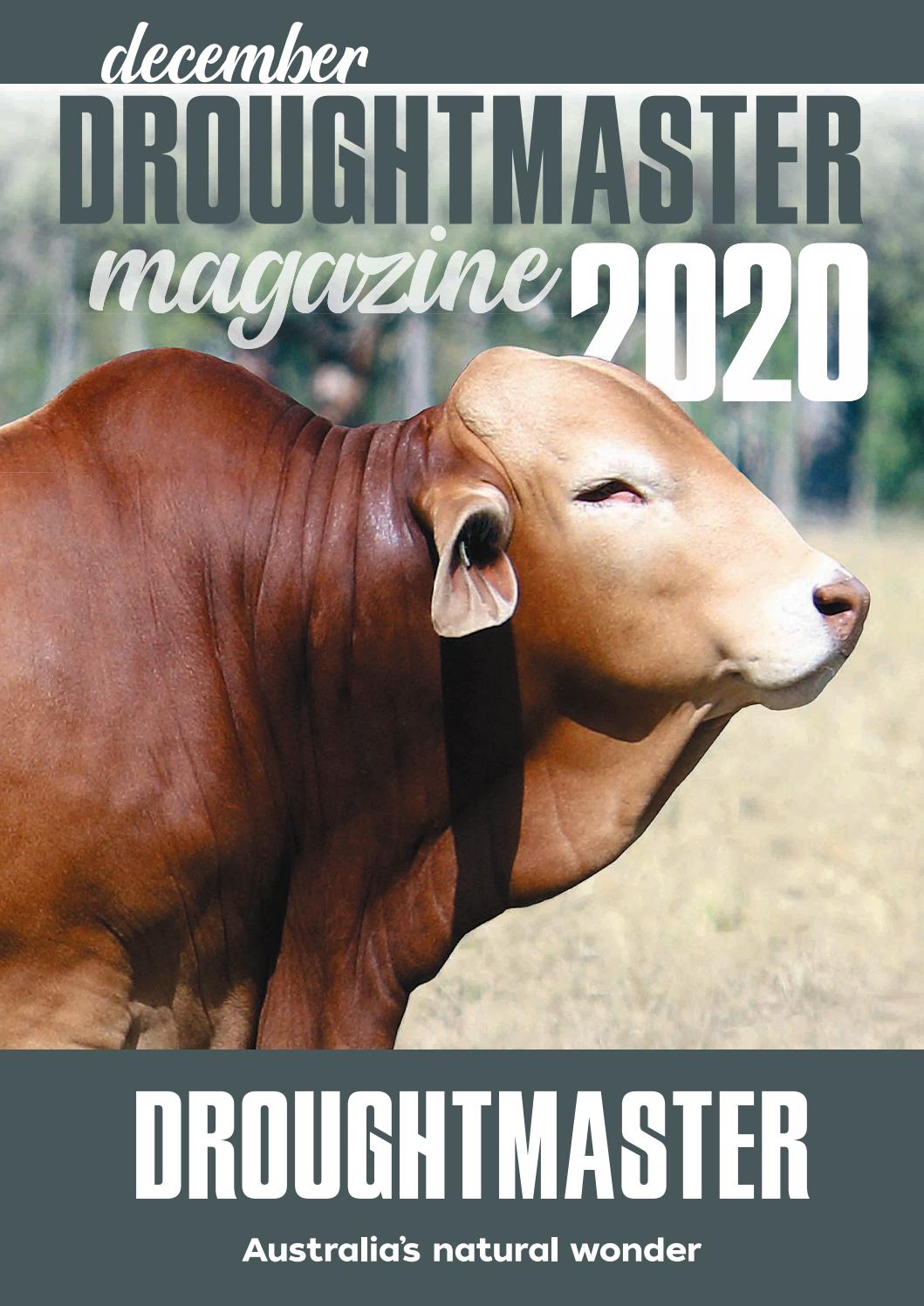 Droughtmaster Magazine December 2020 by Droughtmaster Australia - Issuu