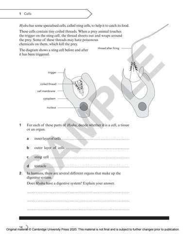 Lower Secondary Science WORKBOOK 7 Sample by Cambridge International ...