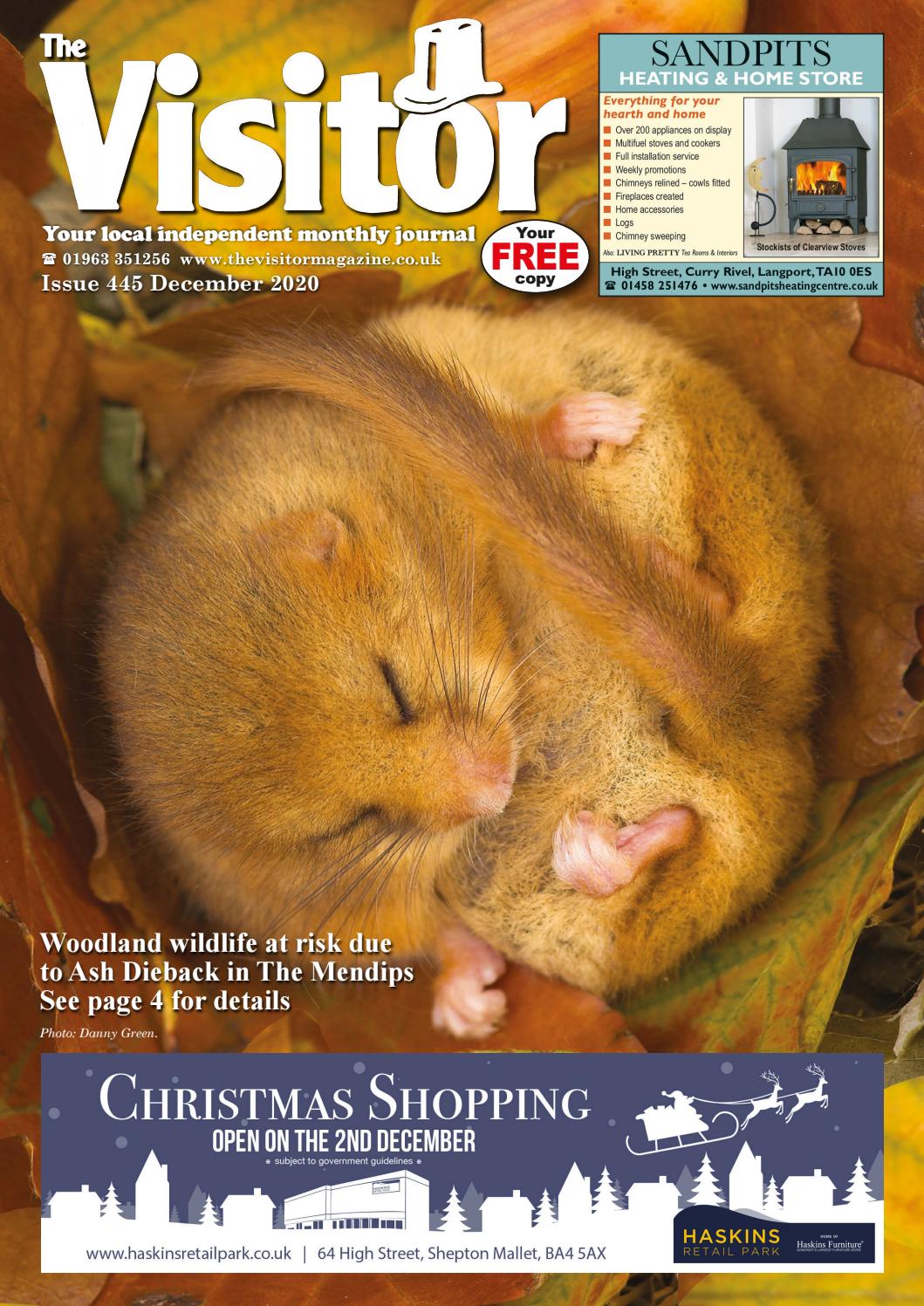 The Visitor Magazine Issue 445 December 2020 by The Visitor Magazine ...