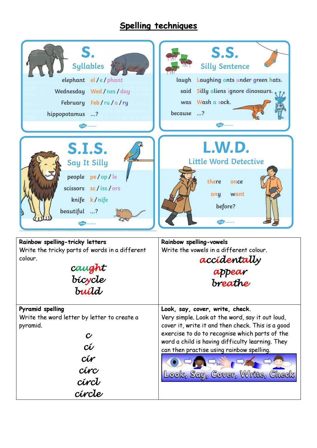 Owls Spelling by Schudio - Issuu
