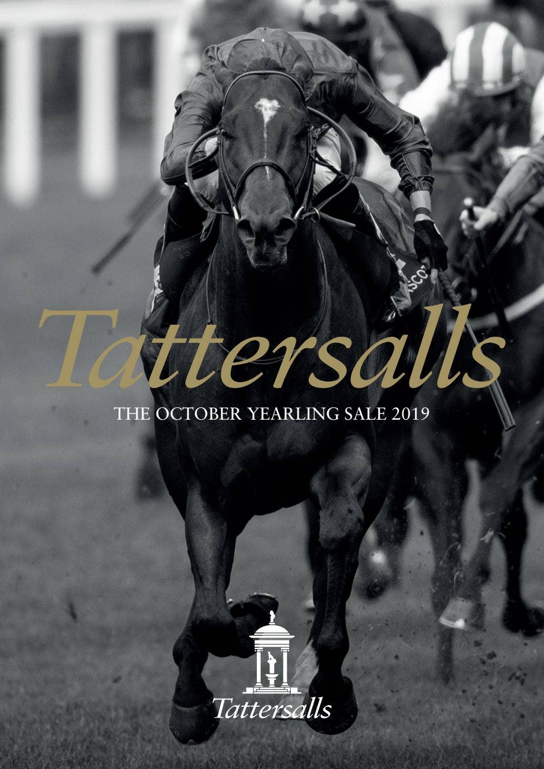 Tattersalls October Yearling Preview Magazine 2019 by Barnes_Thompson ...