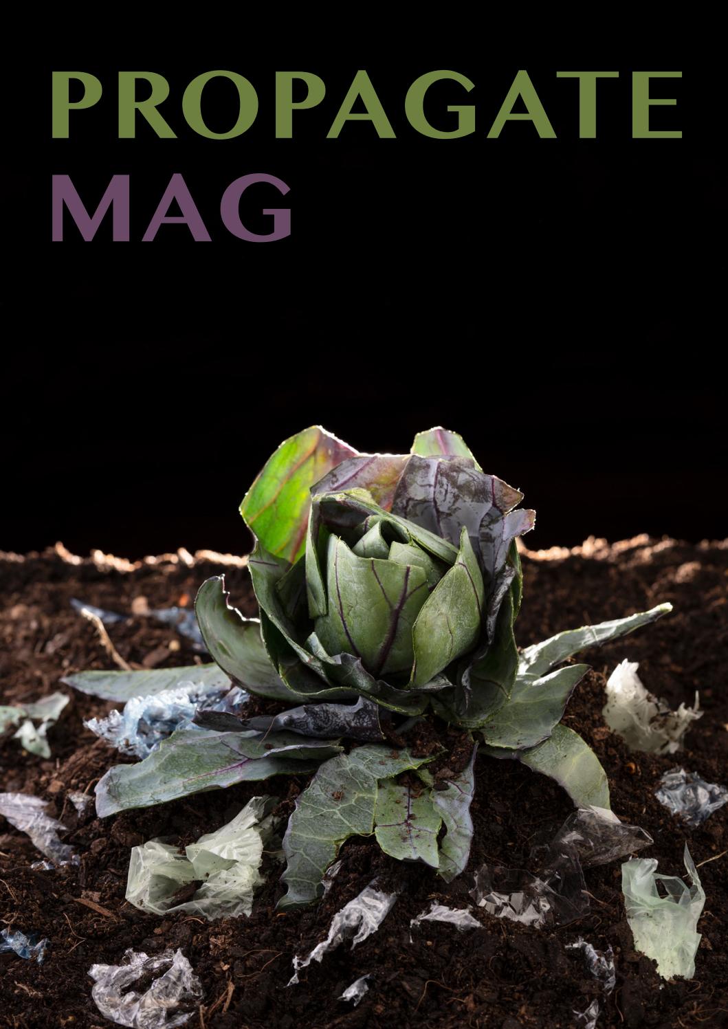 Propagate Magazine Issue One: The Pilot by Propagate Magazine - Issuu