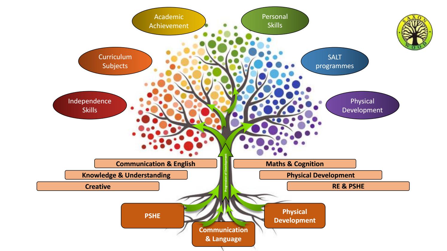 Curriculum Tree by Schudio - Issuu
