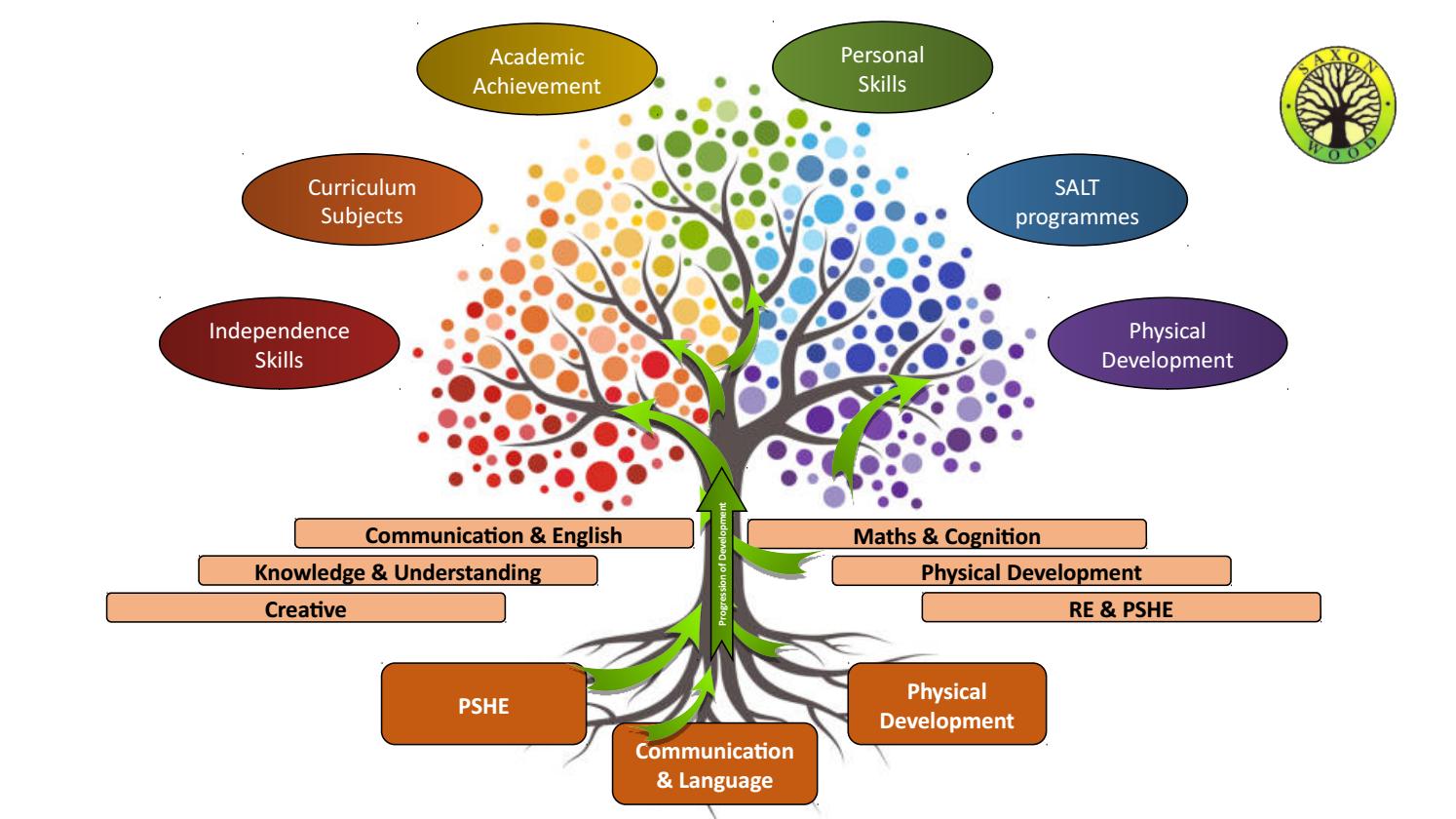 Curriculum Tree by Schudio - Issuu