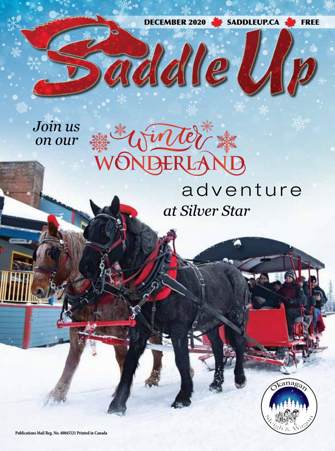 Saddle Up December 2020 by Saddle Up magazine - Issuu