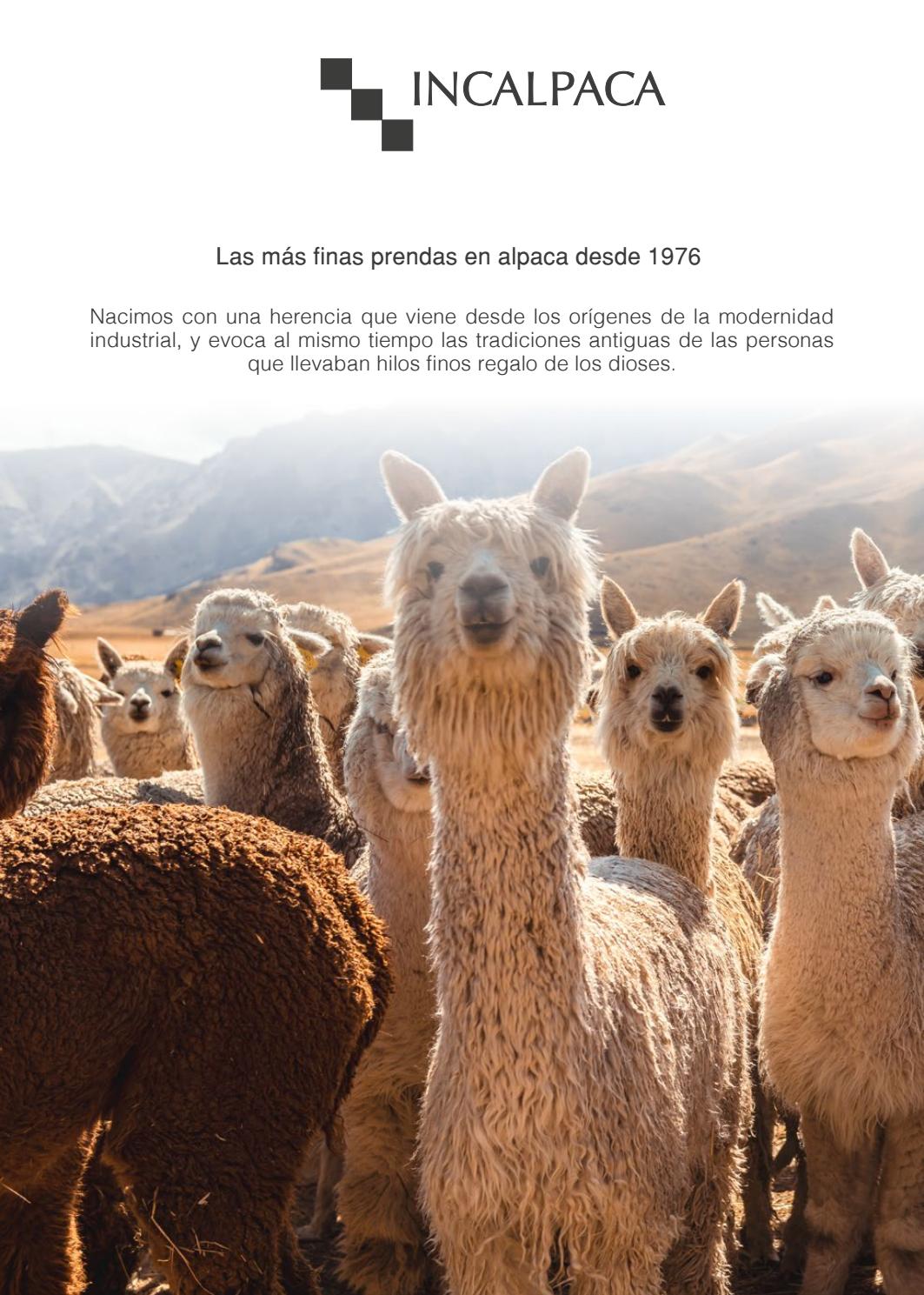 INCALPACA - Catálogo de Venta PERÚ │ C13 │ 2020 by INCALPACA TPX - Issuu