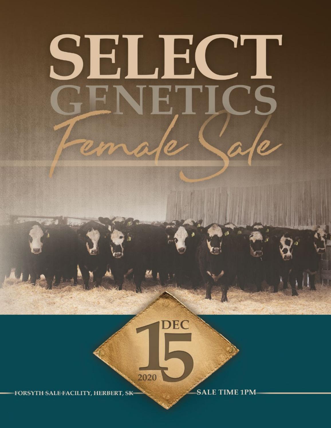Select Genetics Female Sale 2020 by jamieraepittman - Issuu