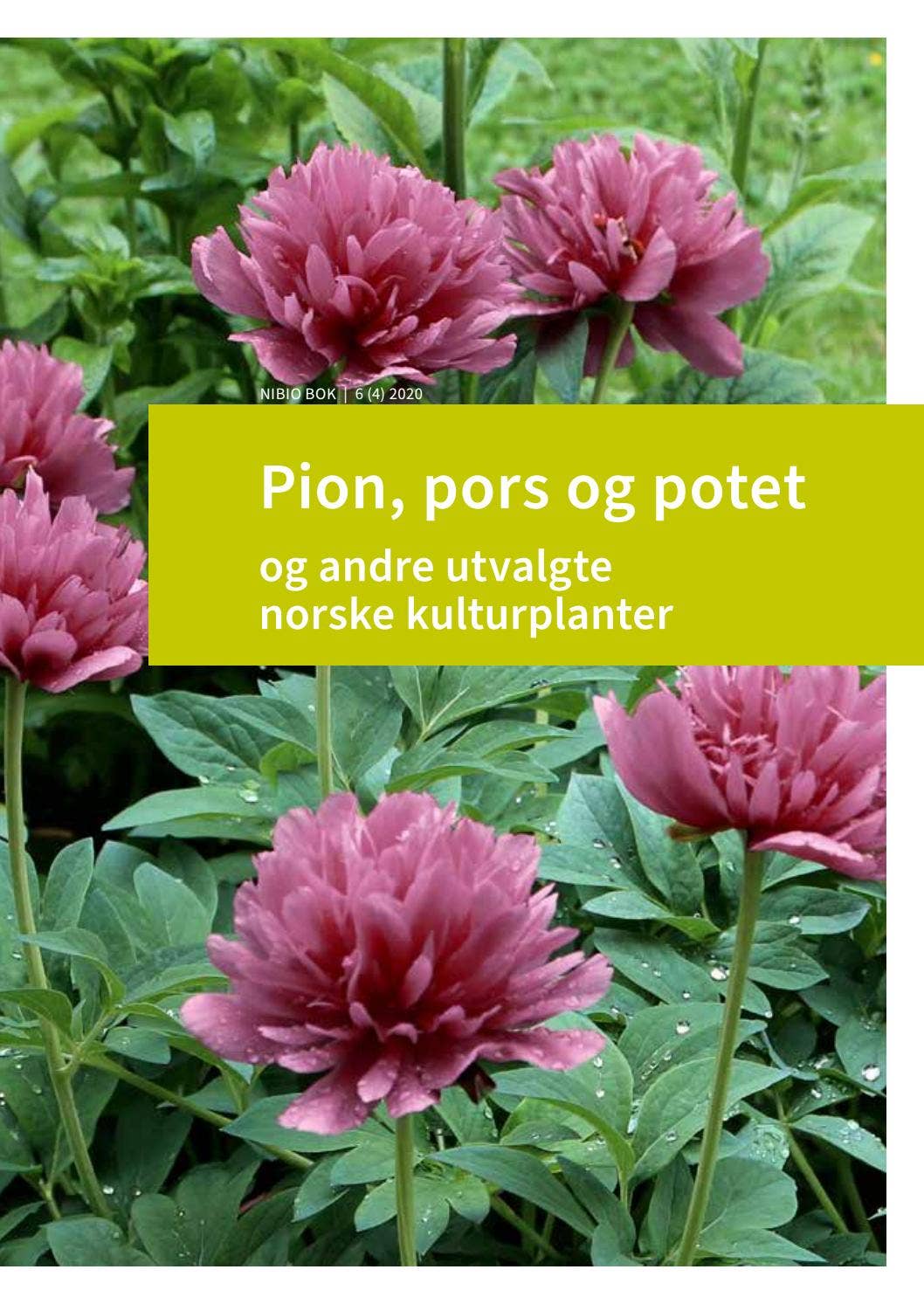 Pion, pors og potet og andre utvalgte norske kulturplanter by Natur og ...