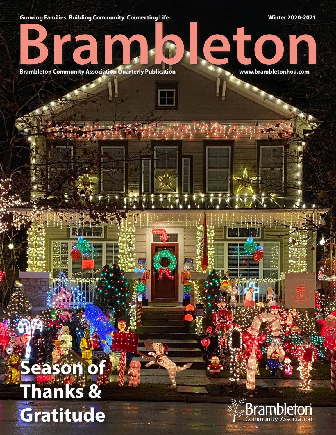 Brambleton Magazine: Winter 2020-2021 by Brambleton Community ...
