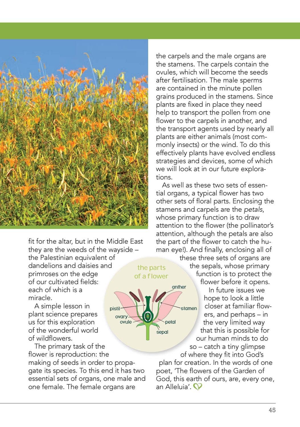 The Messenger: January 2021 by Messenger Publications - Issuu