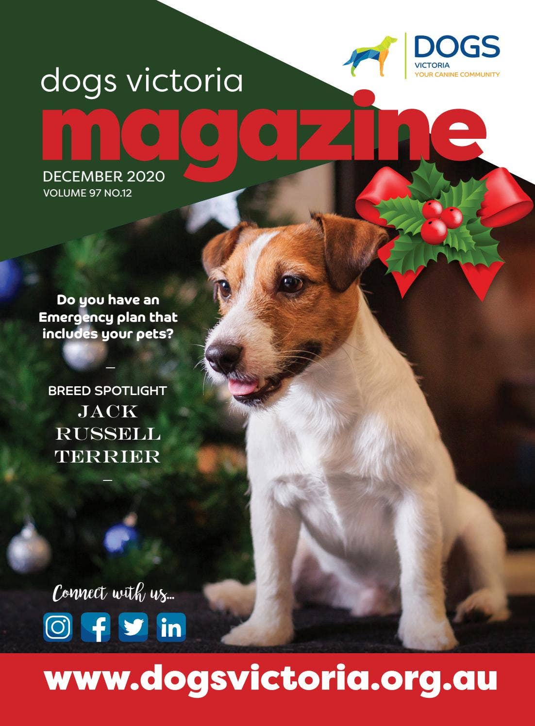 Dogs Victoria Magazine - December 2020 by Dogs Victoria - Issuu