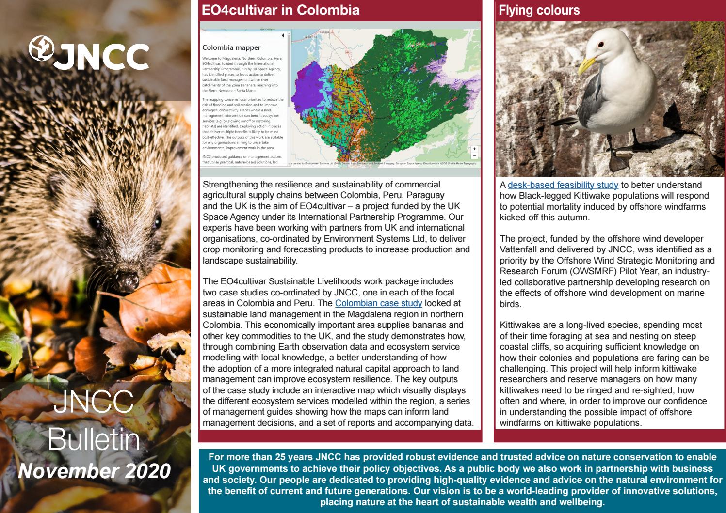 JNCC Bullletin November 2020 by jncc_uk - Issuu