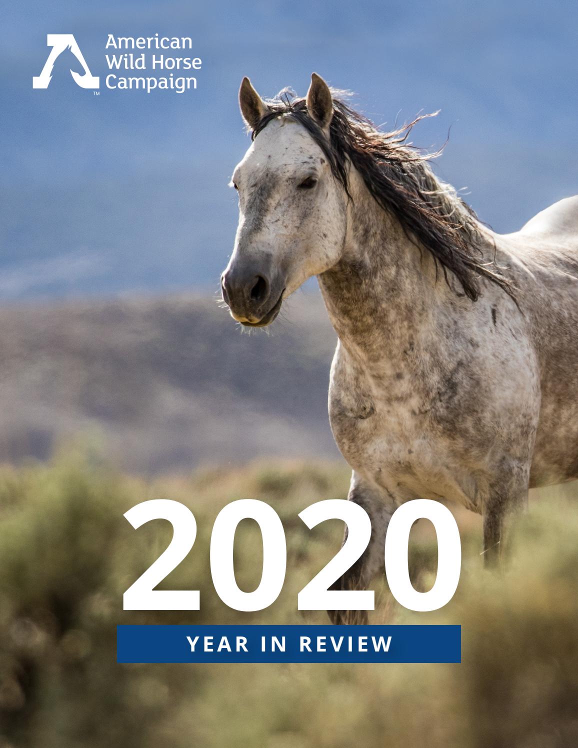 American Wild Horse Campaign's 2020 EOY Report by AWHC - Issuu