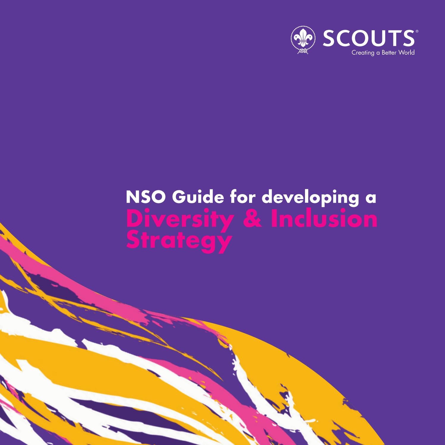 NSO Guide for developing a Diversity & Inclusion Strategy by World ...