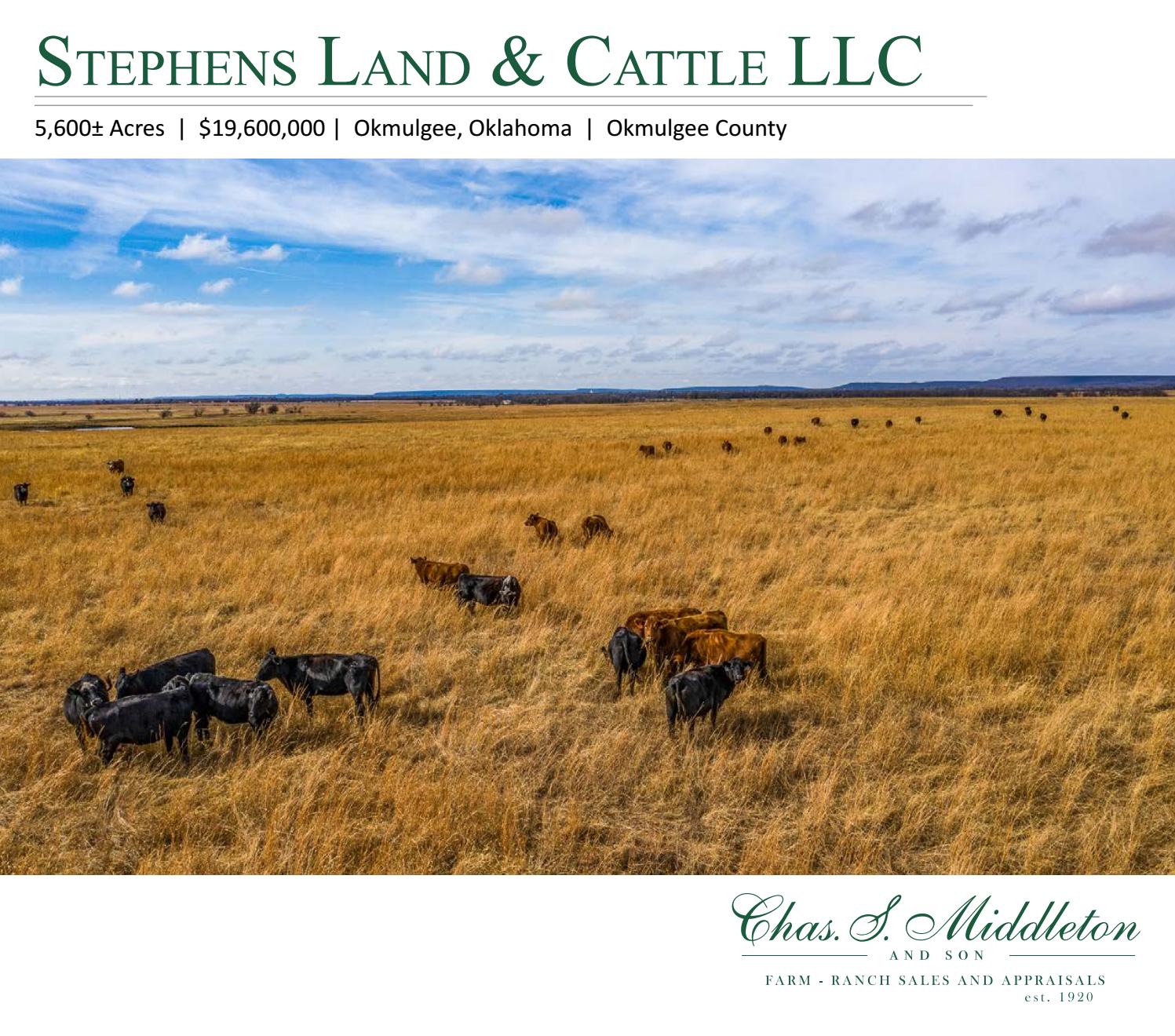 Stephens Land & Cattle LLC by csmandson - Issuu