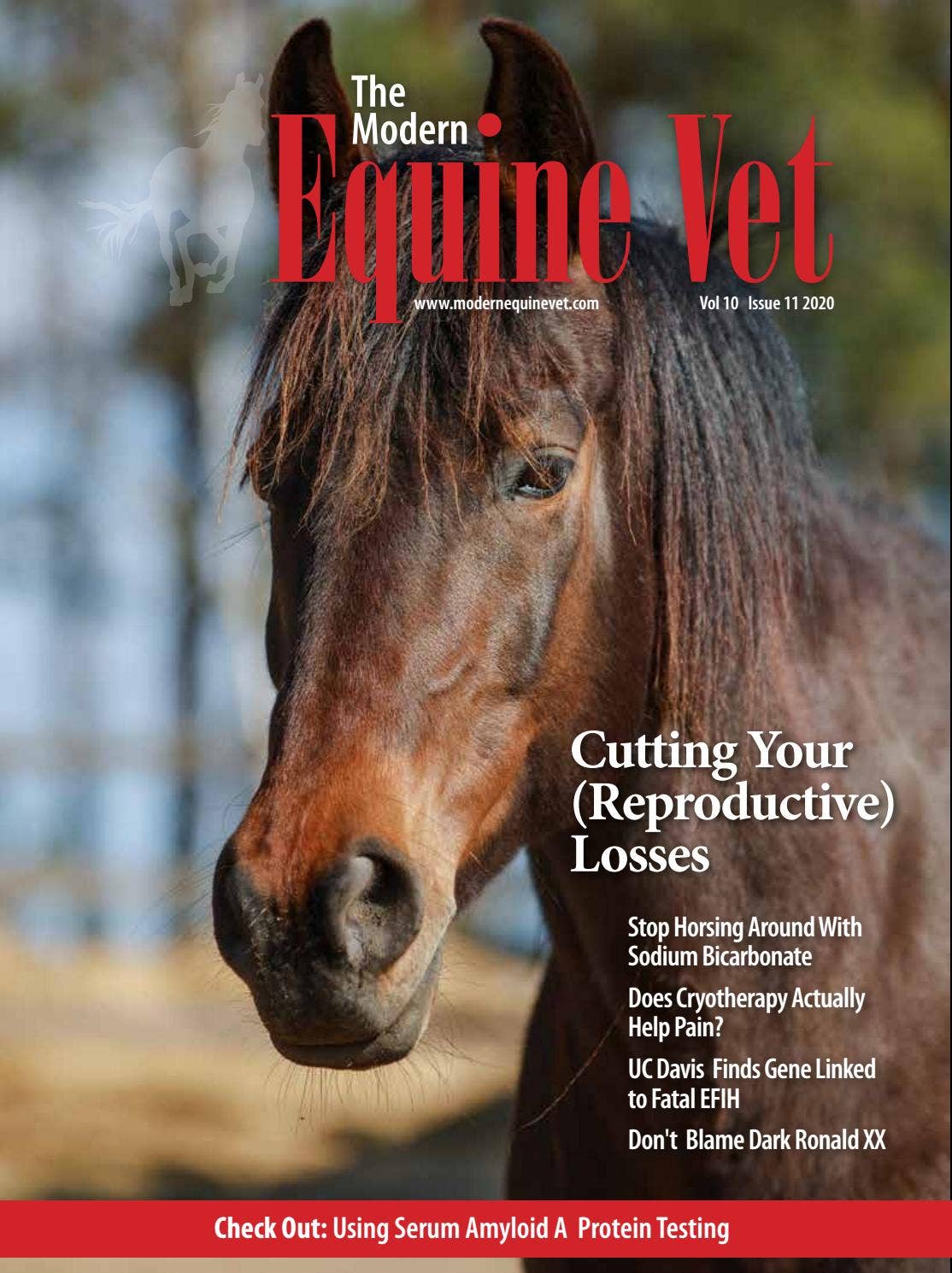 The Modern Equine Vet - November 2020 by The Modern Equine Vet - Issuu