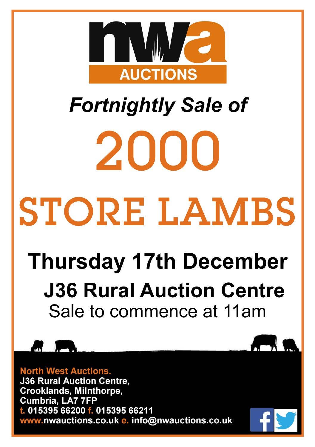 J36 Store Lambs - Thursday 17th December 2020 by North West Auctions ...