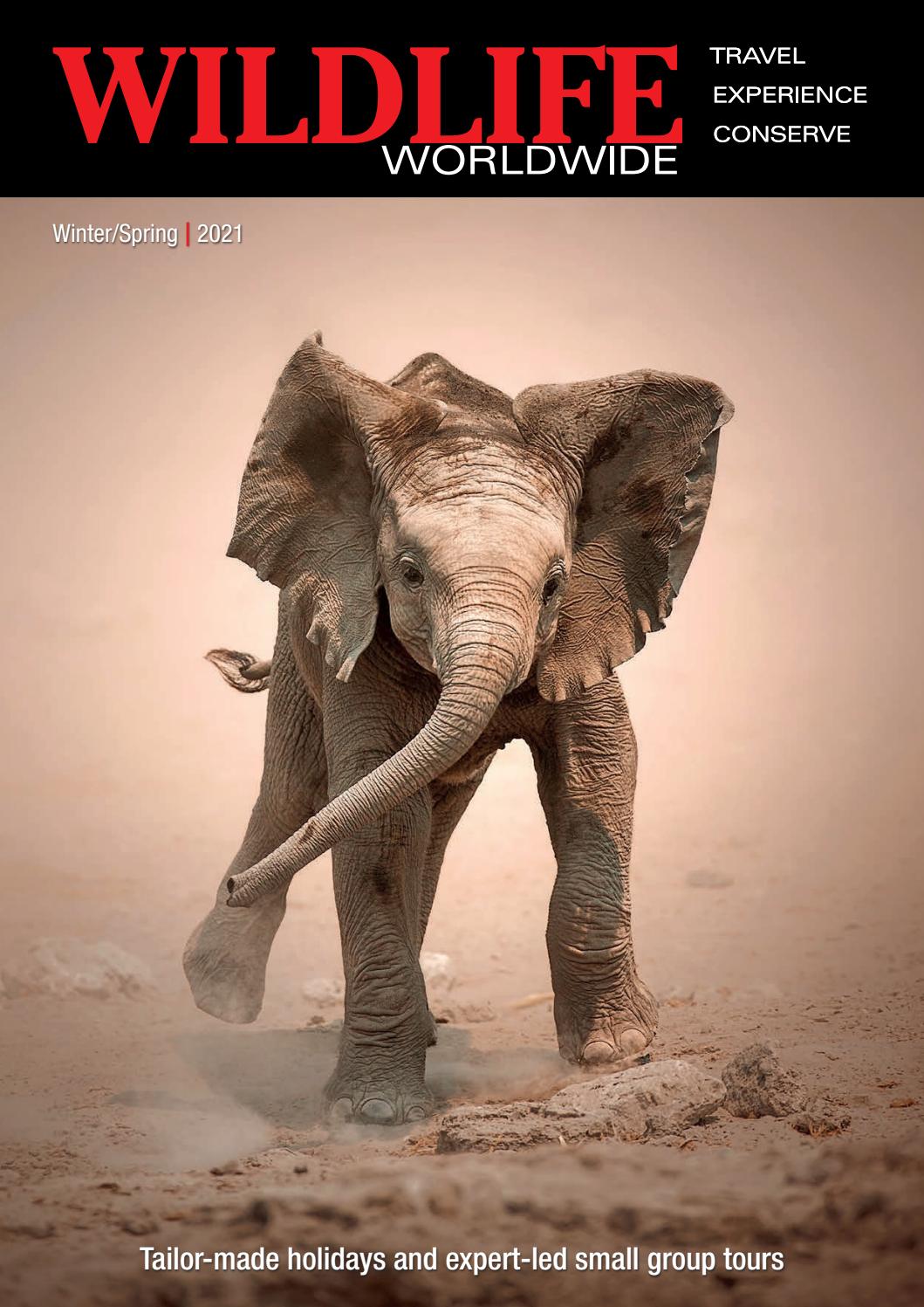 Wildlife Worldwide Brochure - Winter/Spring 2020/21 by The Natural ...