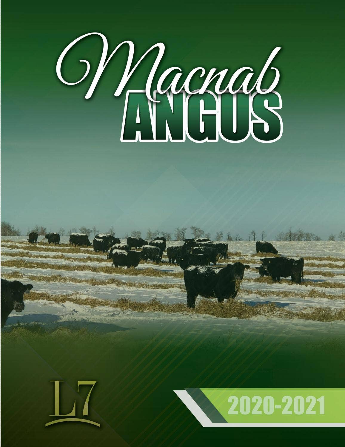 Macnab Angus by Today's Publishing Inc. - Issuu