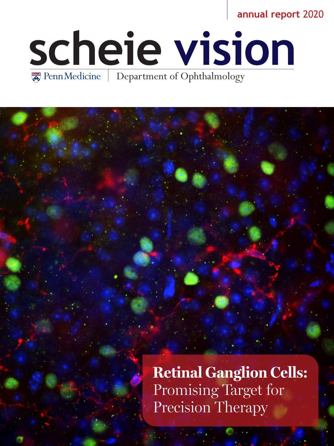 Annual Report 2020 - Scheie Eye Institute by The Department of ...