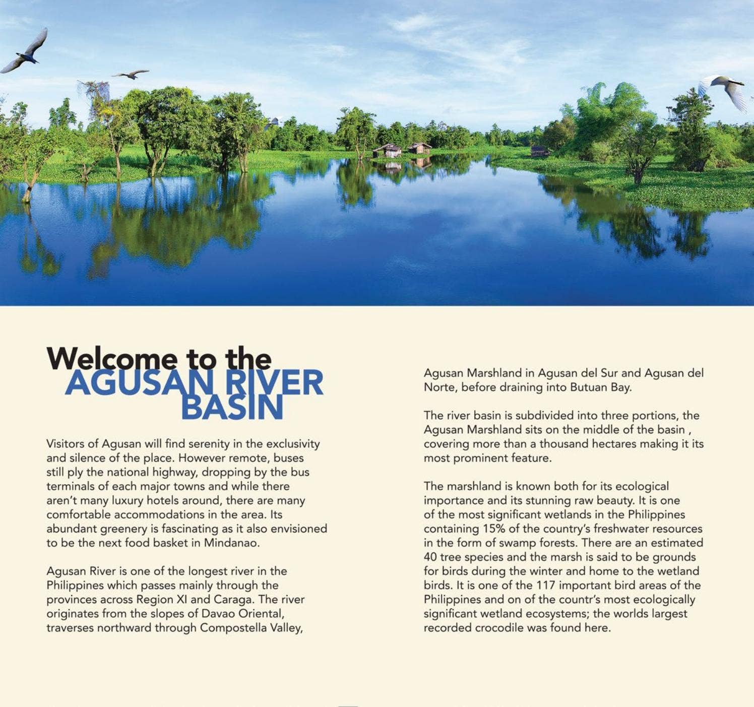 Agusan River Basin by LearnPH - Issuu