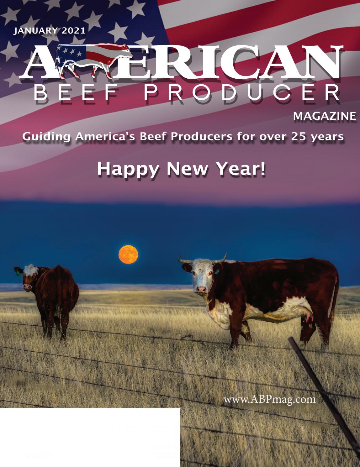 January 2021 - American Beef Producer Magazine by American Beef ...