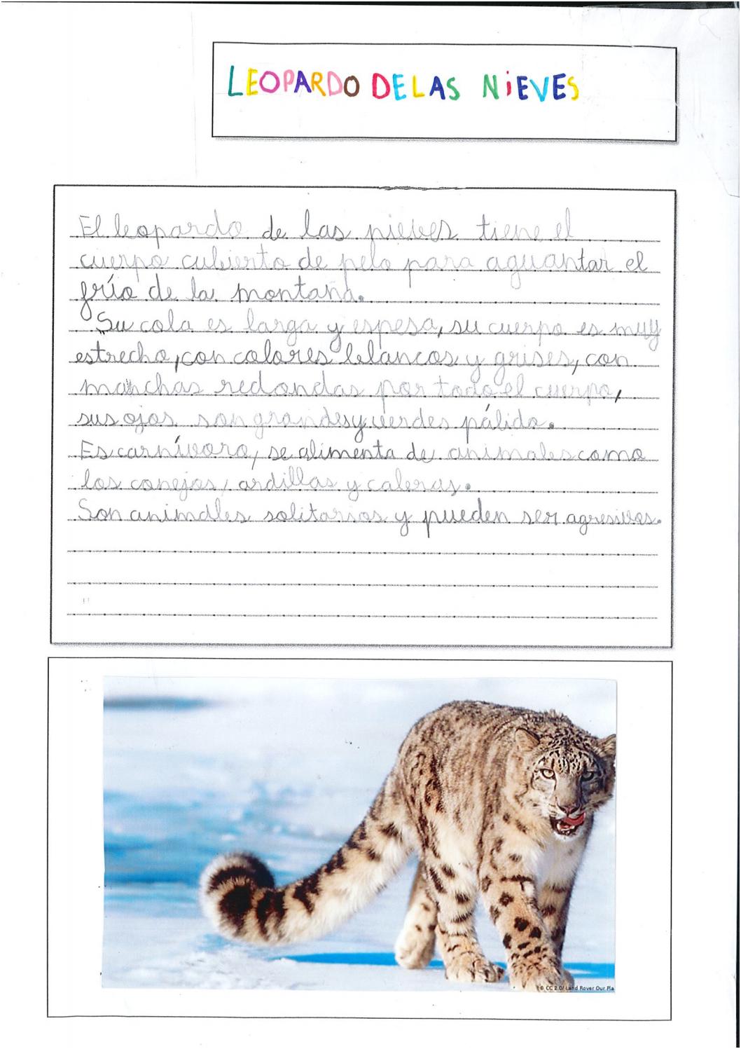 Descripciones de animales by CEIP TIERRA DE PINARES - Issuu