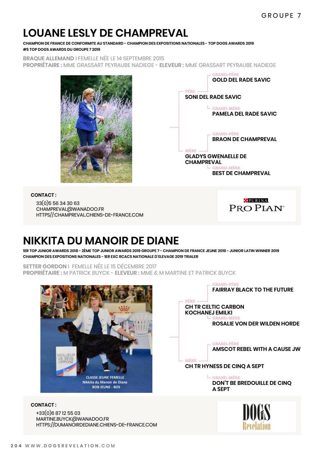 Almanach Dogs Revelation 2019 by jegou - Issuu