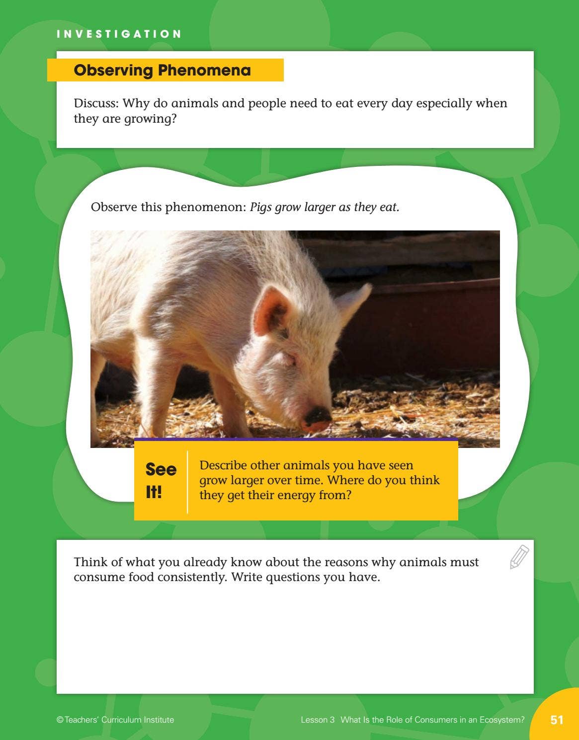 Bring Science Alive! Grade 5 Sample by Teachers' Curriculum Institute ...