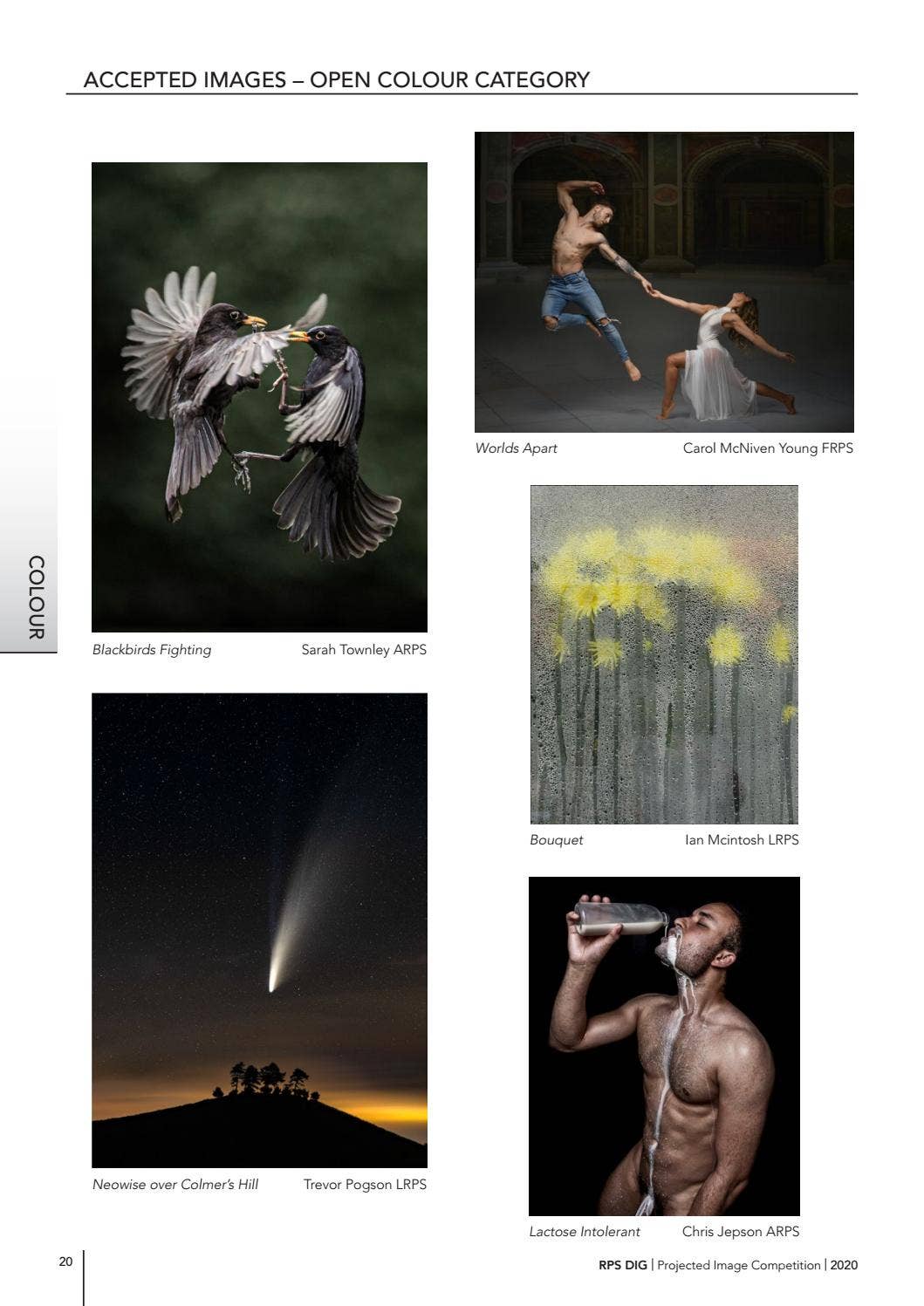 RPS Digital Imaging 2020 Projected Image Competition Catalogue ...