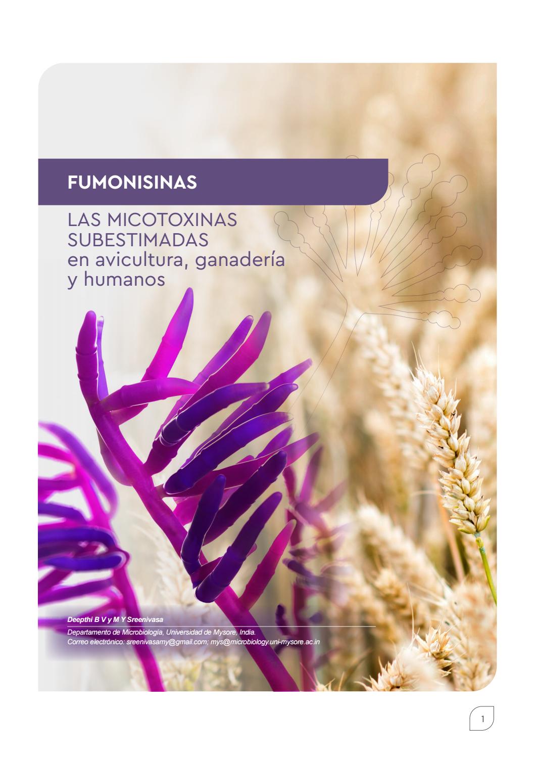 Fumonisinas - Las micotoxinas subestimadas en avicultura, ganadería y ...