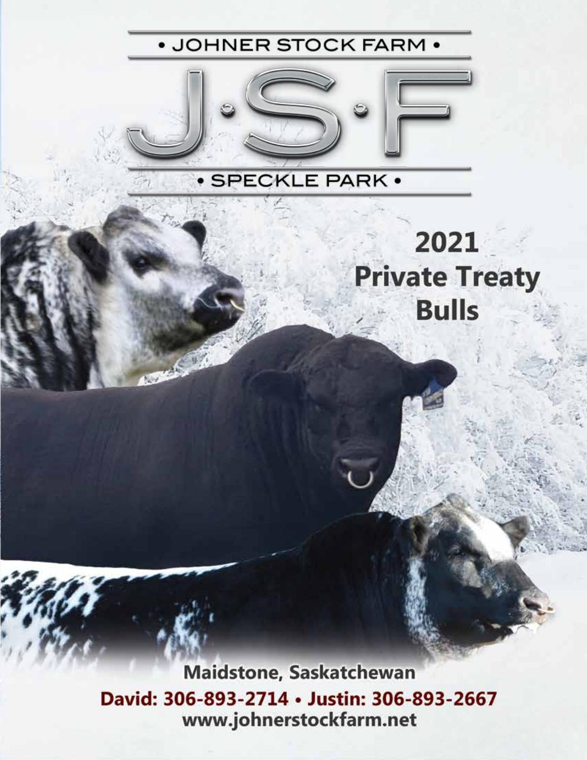 Johner Stock Farm Speckle Park 2021 Private Treaty Bulls by Today's ...