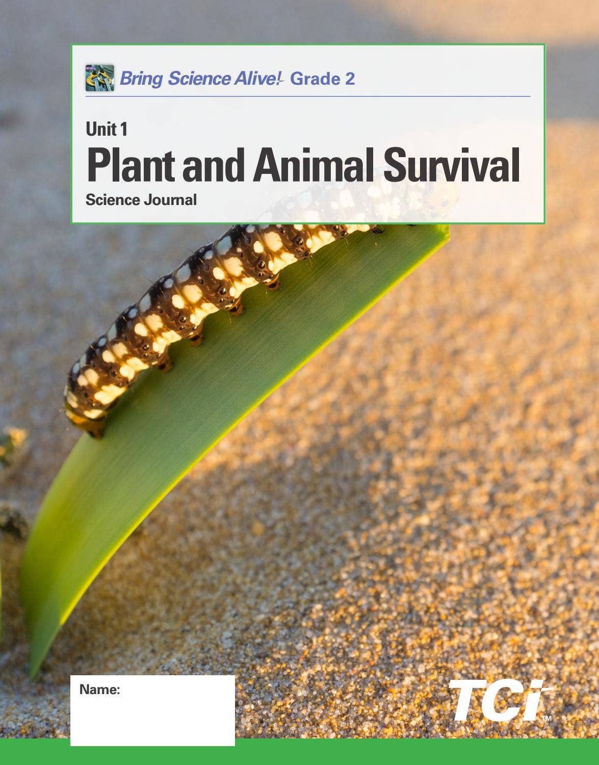 Bring Science Alive! Grade 2 Sample by Teachers' Curriculum Institute ...