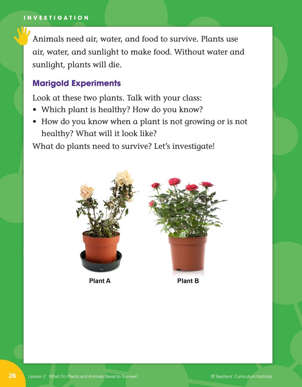 Bring Science Alive! Grade 2 Sample by Teachers' Curriculum Institute ...