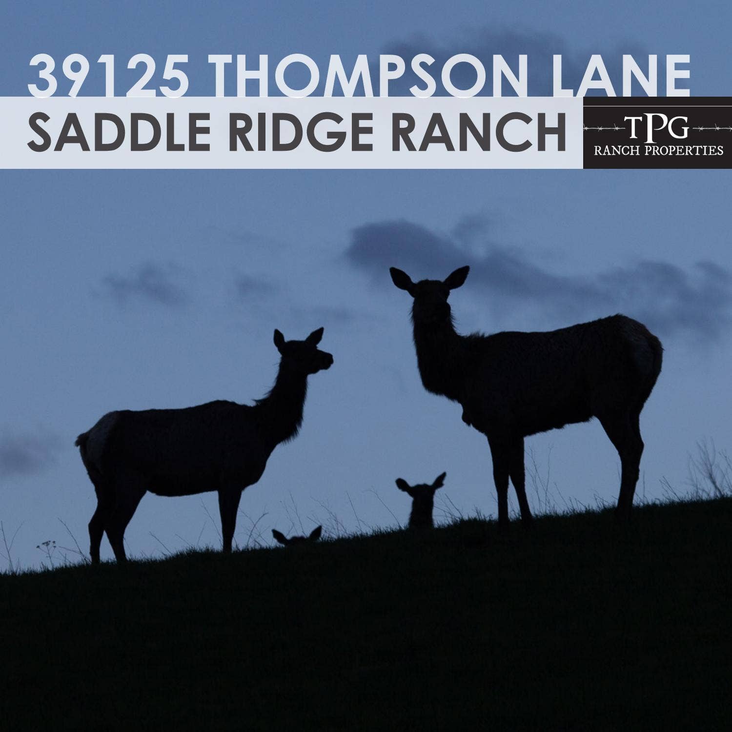 Saddle Ridge Ranch Brochure by The Agency Steamboat - Issuu