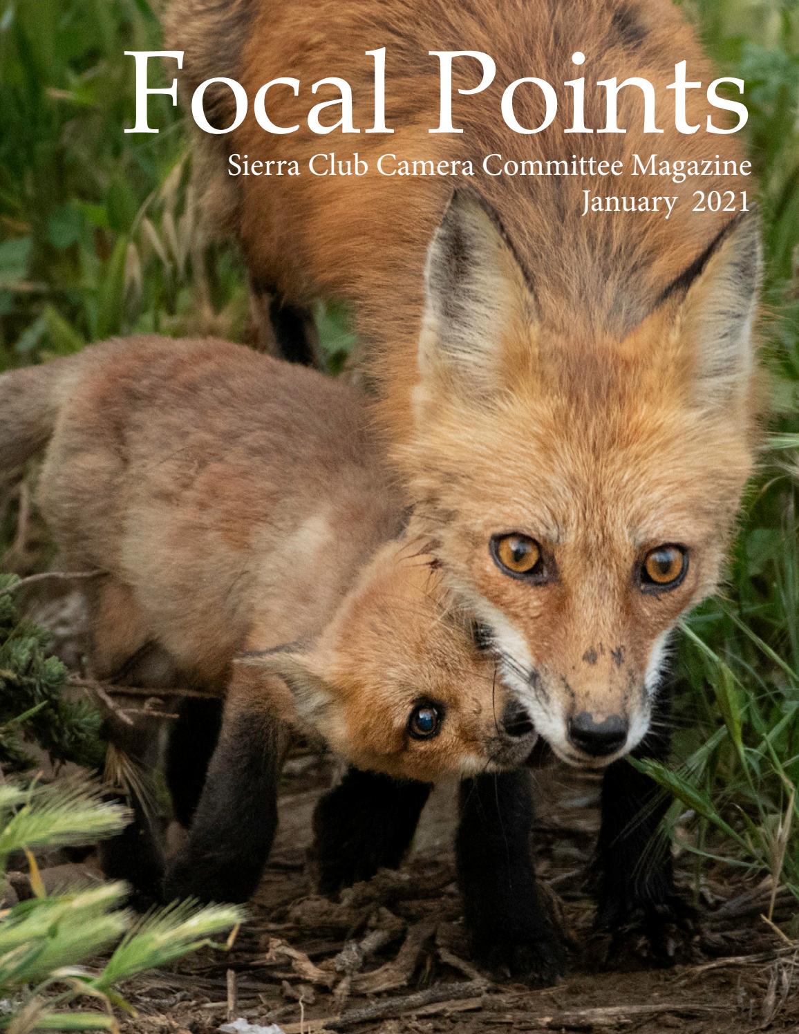 Focal Points Magazine January 2021 issue by John Nilsson - Issuu