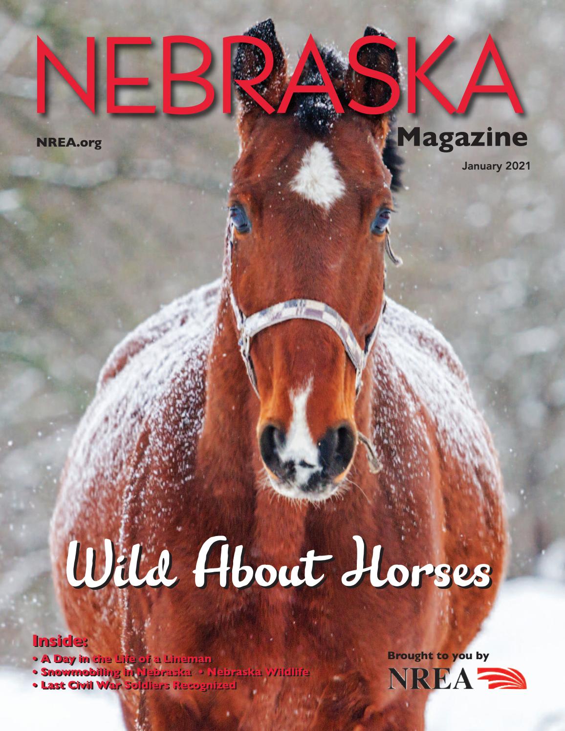 Nebraska Magazine - 01/21 by Nebraska Rural Electric Association - Issuu