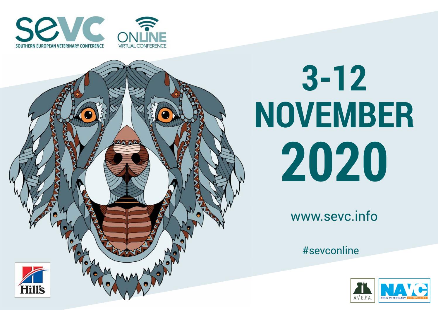 SEVC 2020 online by SEVC - Issuu