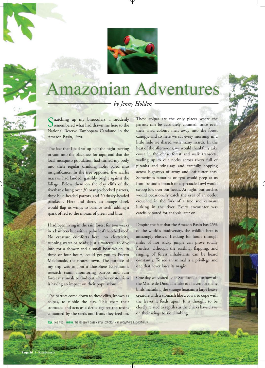 Rainforest, UK, 2005 by Biosphere Expeditions - Issuu