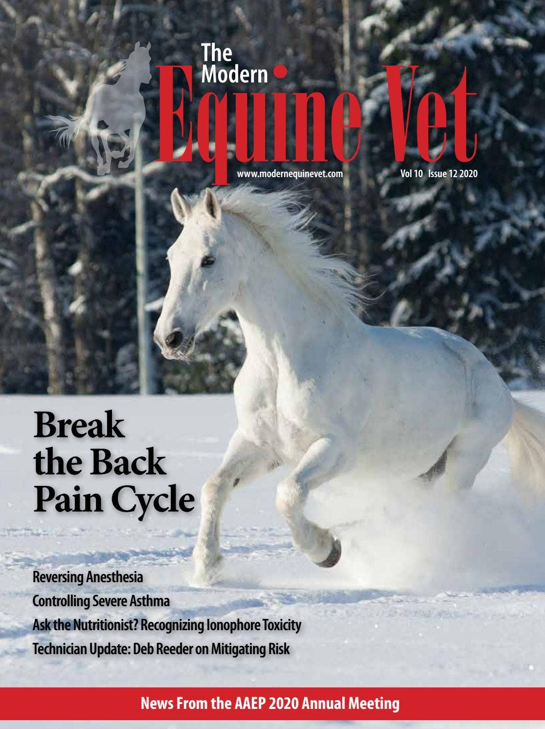 The Modern Equine Vet - December 2020 by The Modern Equine Vet - Issuu